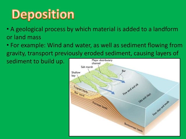 Sedimentary rocks | PPTX | Geology | Science