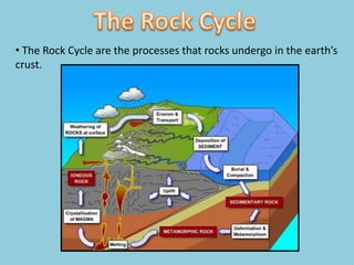 Sedimentary rocks | PPTX
