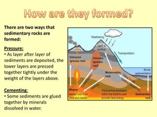 Sedimentary rocks | PPTX | Geology | Science
