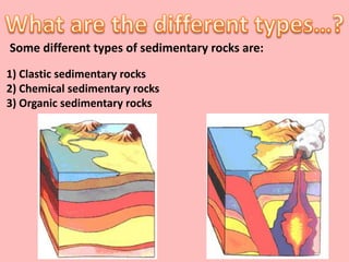 Sedimentary rocks | PPTX | Geology | Science