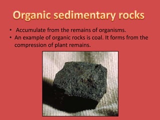 Sedimentary rocks | PPTX | Geology | Science