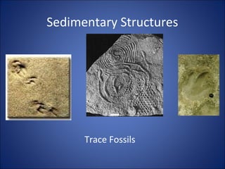 Sedimentary Rocks/EPCC/LM5 A | PPT