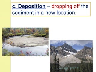 Sedimentary rocks | PPTX