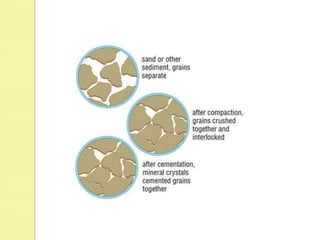 Compaction And Cementation