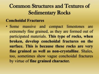 Sedimentary Rocks | PPTX