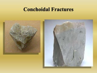 Sedimentary Rocks | PPTX