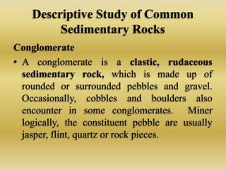 Sedimentary Rocks | PPTX