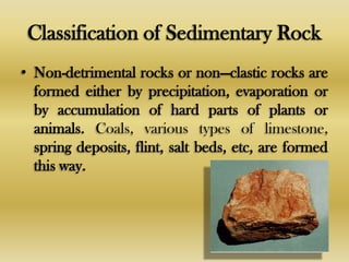 Sedimentary Rocks Classification