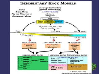 Sedimentary Rock Formation Flow Chart