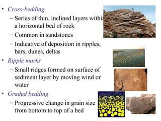 Sedimentary rocks | PPT