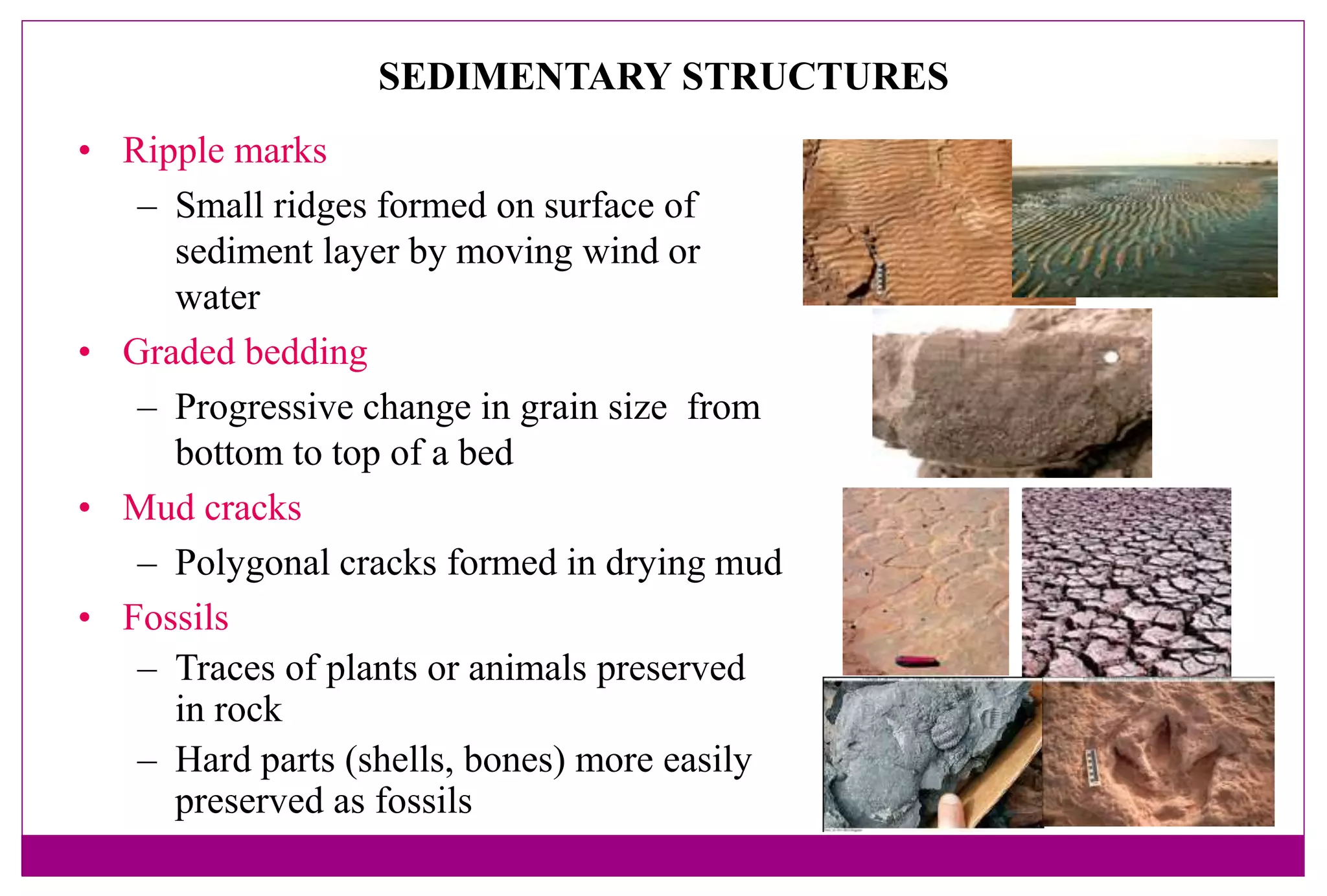 Sedimentary rocks | PPTX