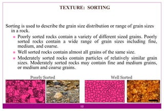 Sedimentary rocks | PPTX