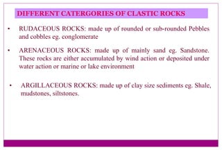 Sedimentary rocks | PPTX