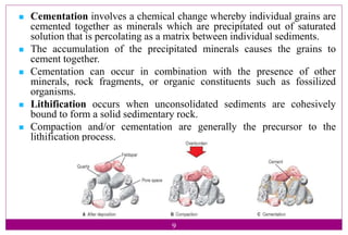 Sedimentary rocks | PPTX