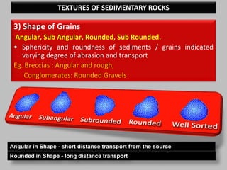 Sedimentary rocks | PPTX | Geology | Science
