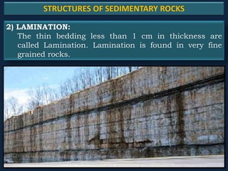 Sedimentary rocks | PPTX | Geology | Science