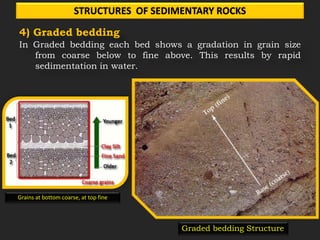 Sedimentary rocks | PPTX | Geology | Science