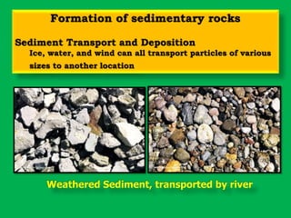 Sedimentary rocks | PPTX | Geology | Science