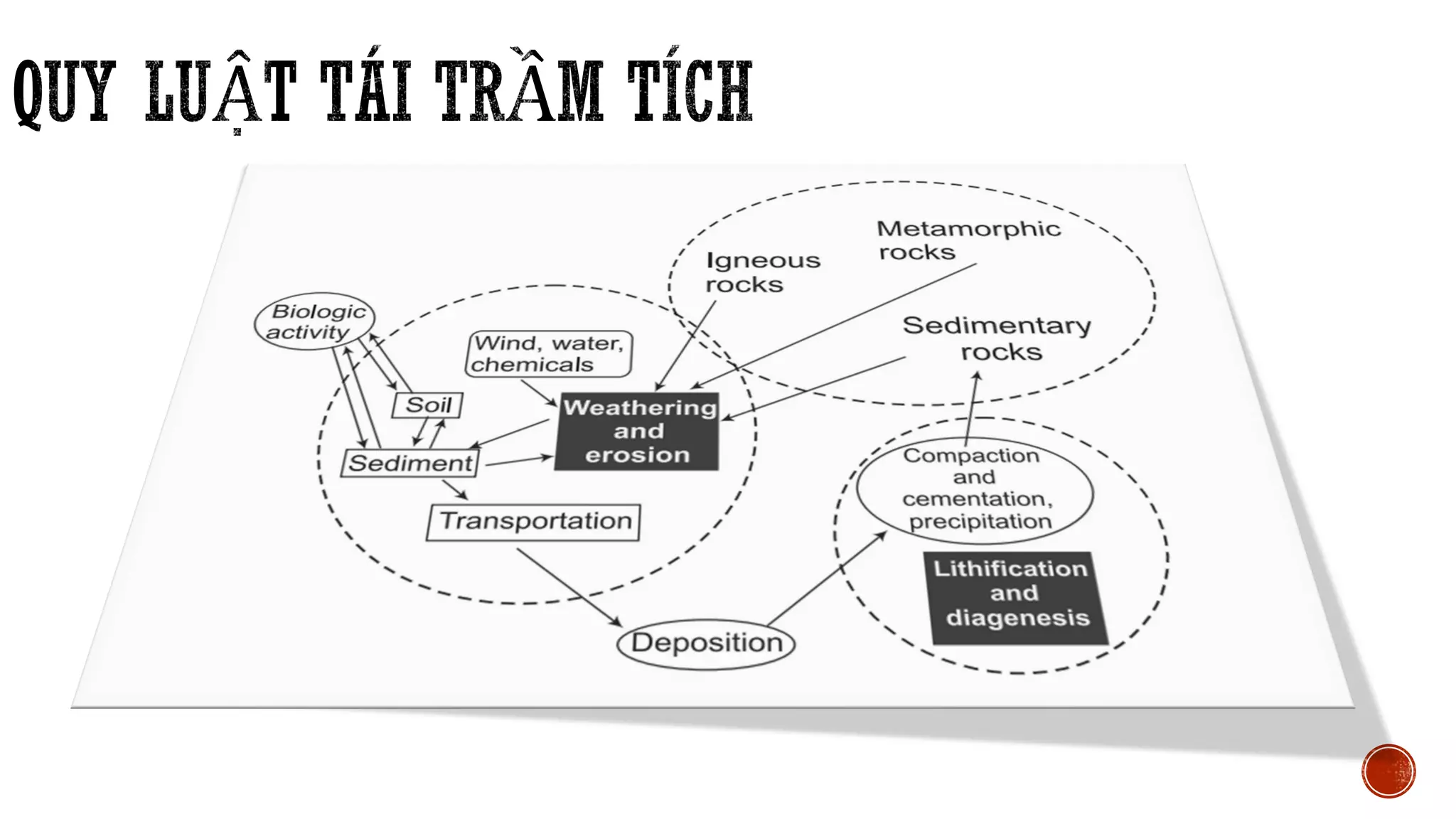 Sedimentary Rocks.pdf