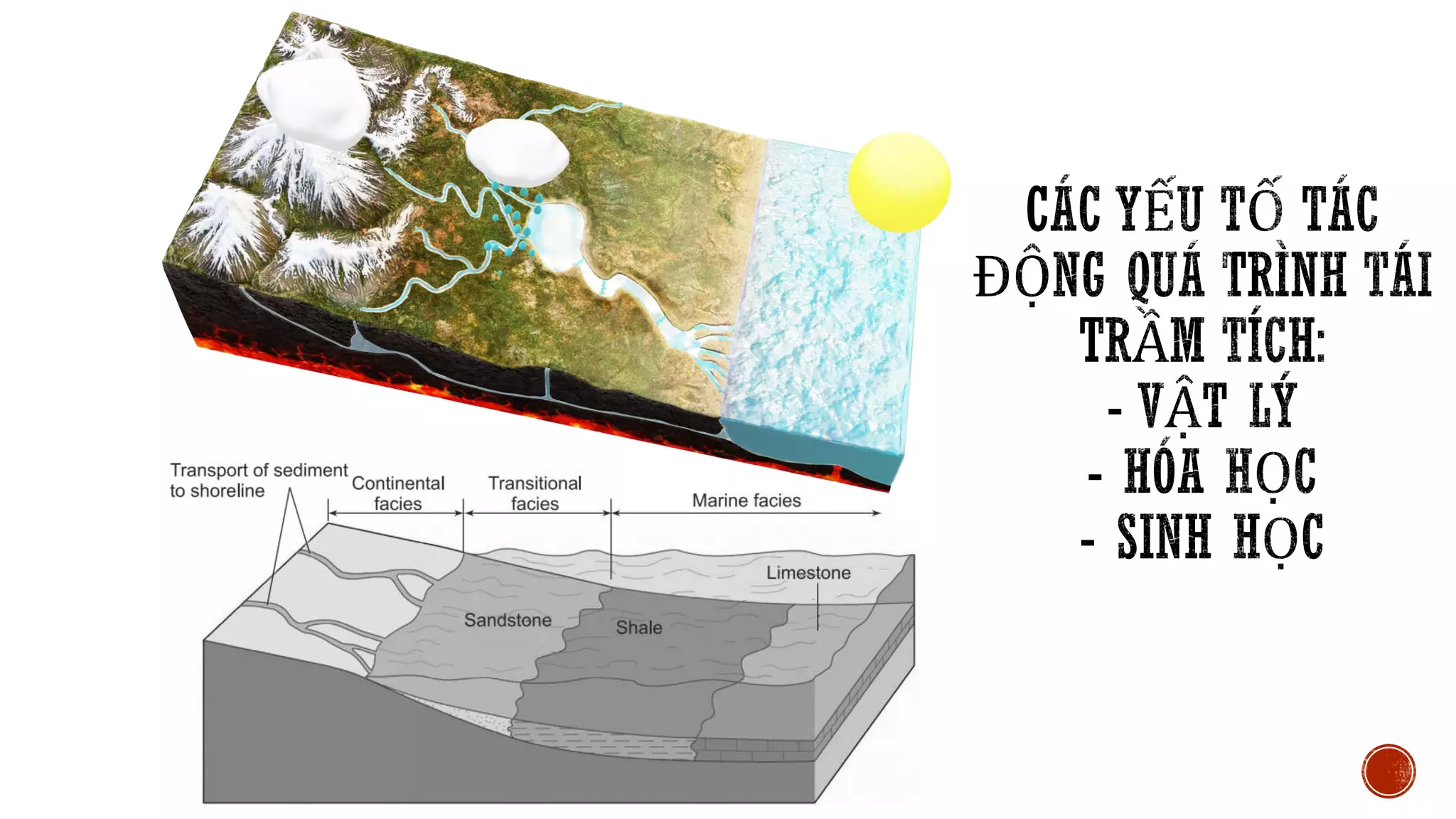 Sedimentary Rocks.pdf