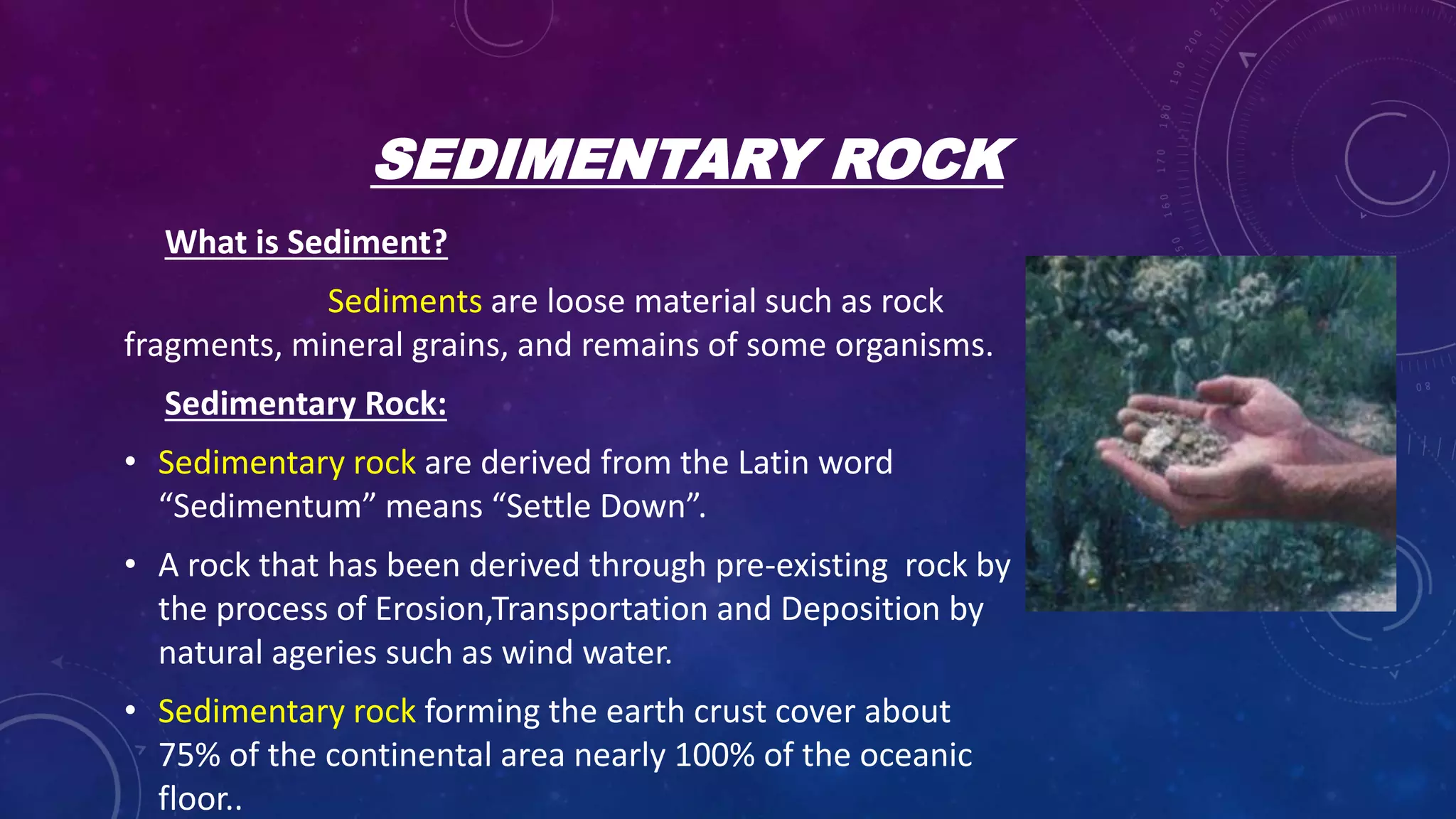Sedimentary Rocks.pptx