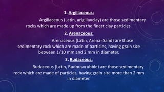 Sedimentary Rocks.pptx