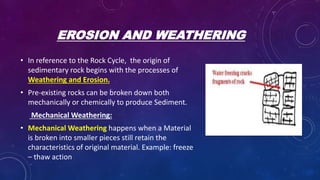 Sedimentary Rocks.pptx