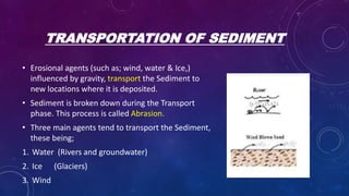 Sedimentary Rocks.pptx