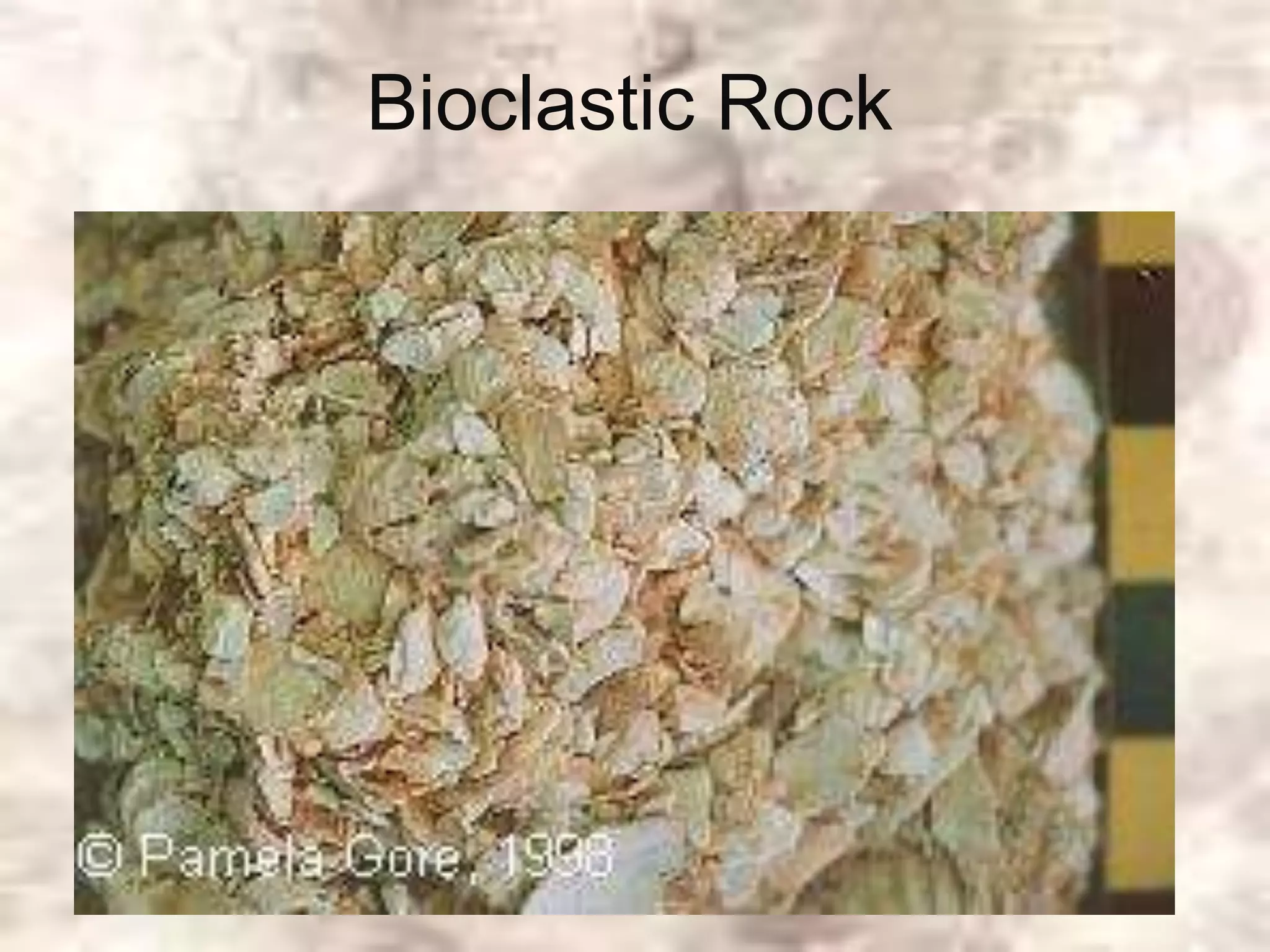 SEDIMENTARY ROCKS.ppt