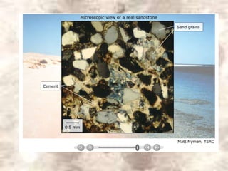 SEDIMENTARY ROCKS.ppt