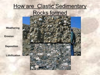 SEDIMENTARY ROCKS.ppt