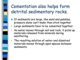 SSSSSSSSSSSSSSSSSedimentary Rocks.geography.ppt