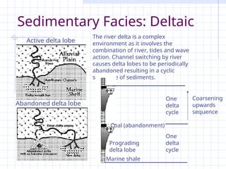 Sedimentary Rocks. Classification of Sedimentary rocks | PPT | Geology | Science
