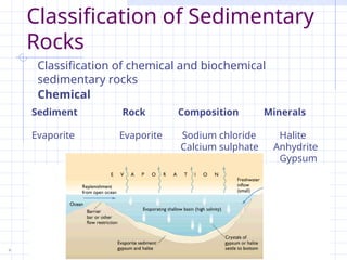 Sedimentary Rocks. Classification of Sedimentary rocks | PPT | Geology ...