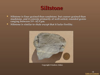 Sedimentary Rocks for studying engineering geology | PPT