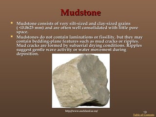 Sedimentary Rocks for studying engineering geology | PPT