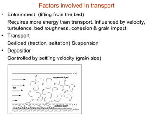 Sedimentary Rocks and ore deposits Geology 2nd year .ppt