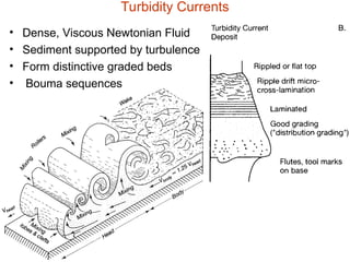 Sedimentary Rocks and ore deposits Geology 2nd year .ppt