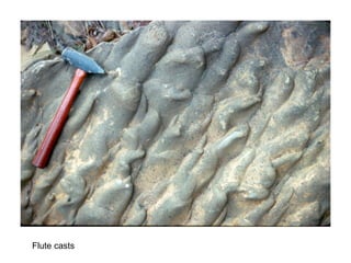 Sedimentary Rocks and ore deposits Geology 2nd year .ppt