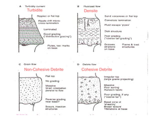 Sedimentary Rocks and ore deposits Geology 2nd year .ppt