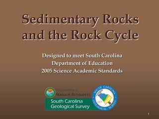 Geology Topic Four on Sedimentary Rocks.pdf