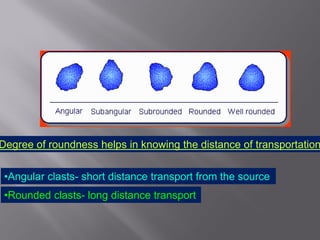 Sedimentary rocks bs 1st year | PDF | Geology | Science