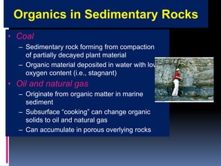 Sedimentary rocks bs 1st year | PDF | Geology | Science