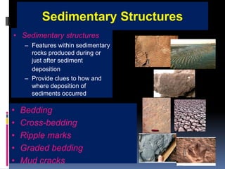 Sedimentary rocks bs 1st year | PDF | Geology | Science