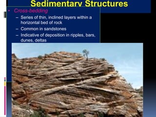 Sedimentary rocks bs 1st year | PDF