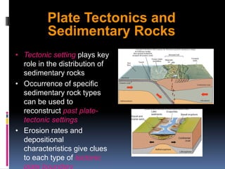 Sedimentary rocks bs 1st year | PDF | Geology | Science