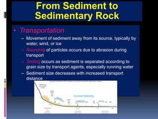 Sedimentary rocks bs 1st year | PDF | Geology | Science