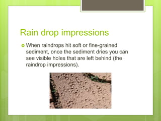 Sedimentary rocks slideshare | PPTX