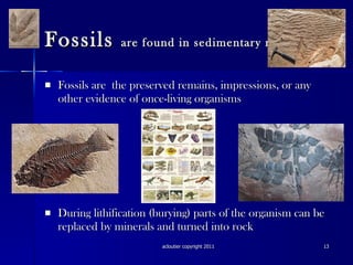 Sedimentary Rocks 2011 copyright | PPT
