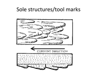 Sedimentary rocks and structures | PPT